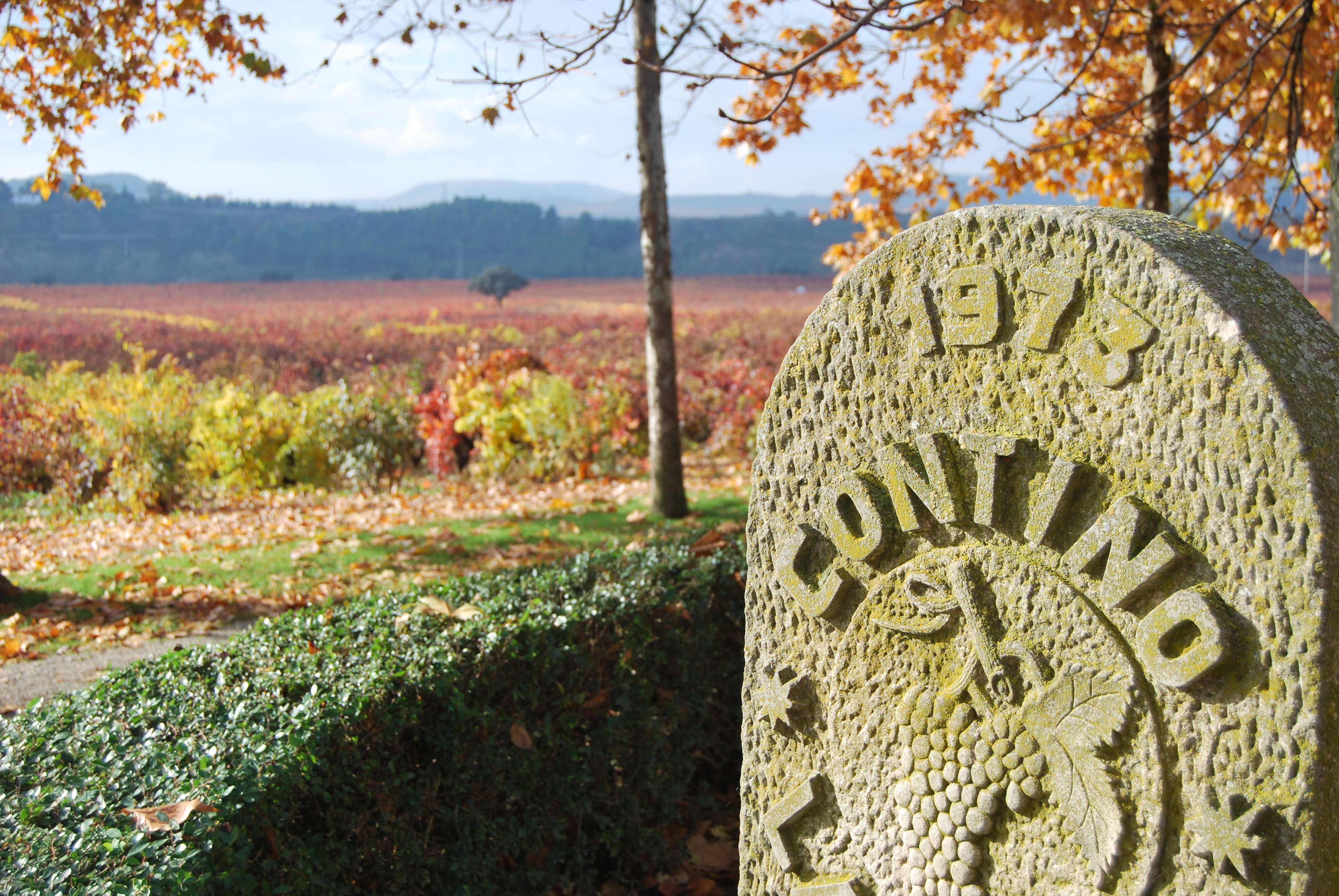 History of Rioja winery, Contino by CVNE – FWM Canada